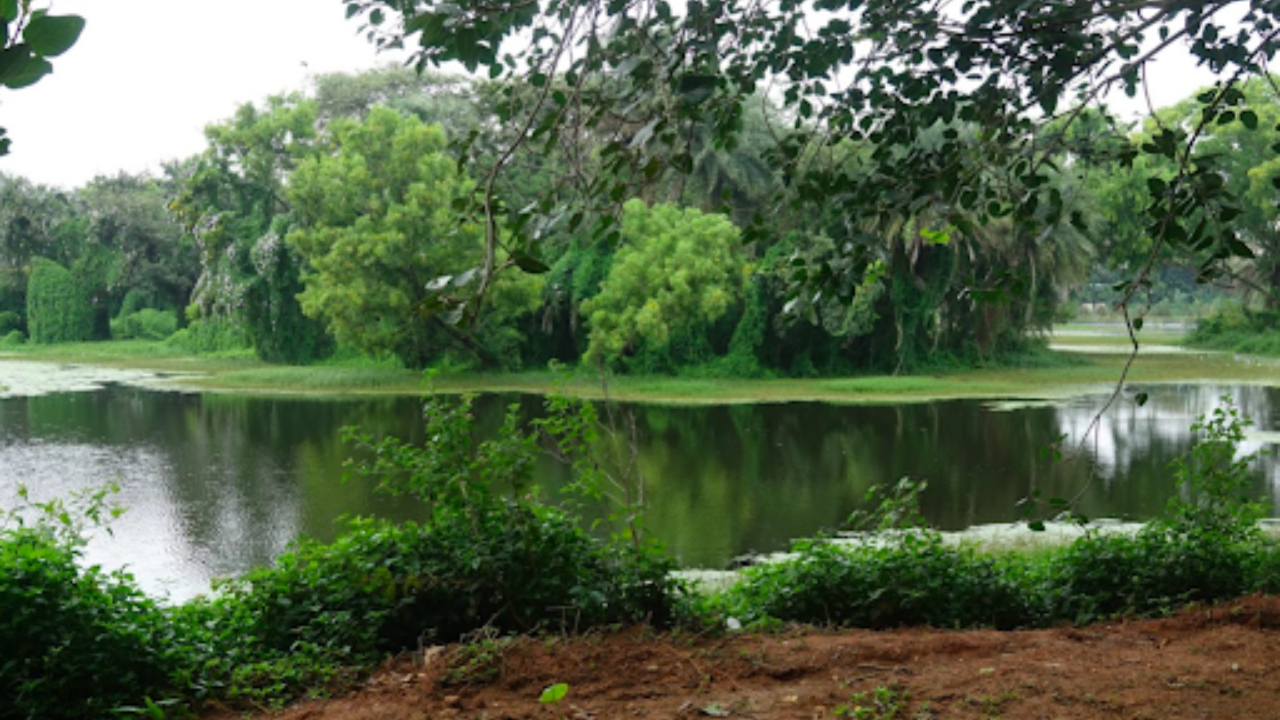 Activities 2020-2021 – Biome Environmental Trust