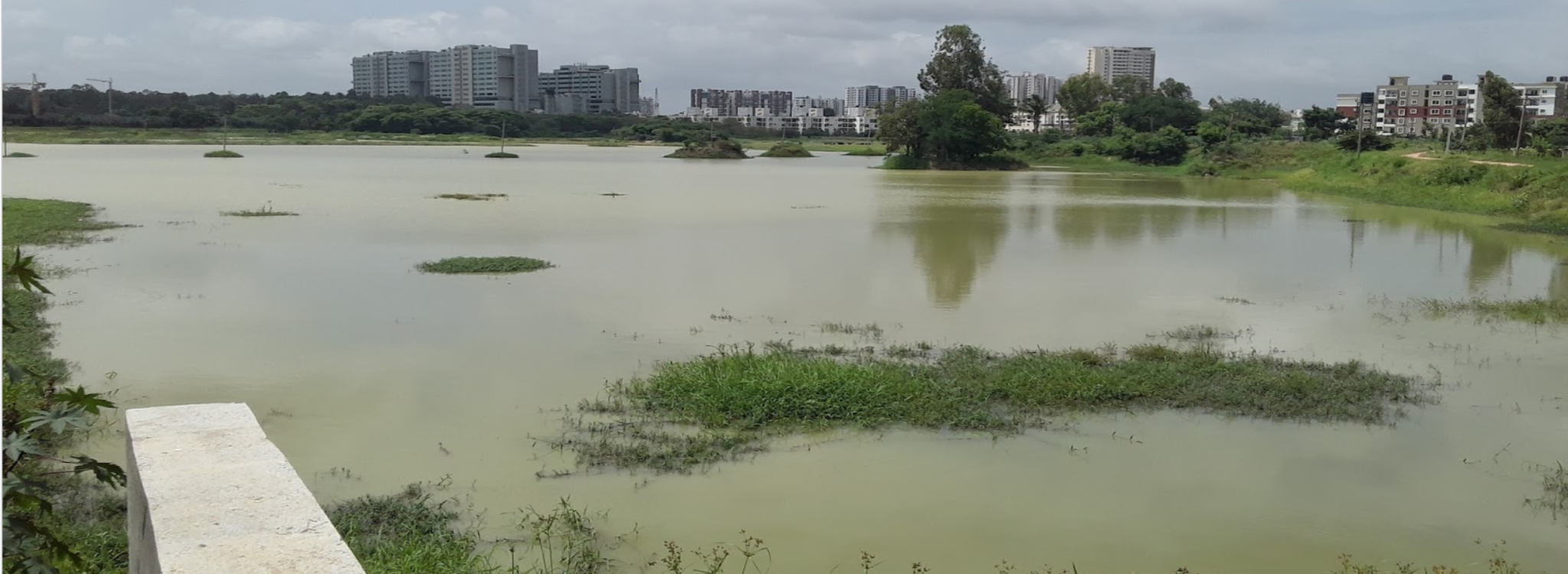 Documentation of Bengaluru’s tanks – Biome Environmental Trust